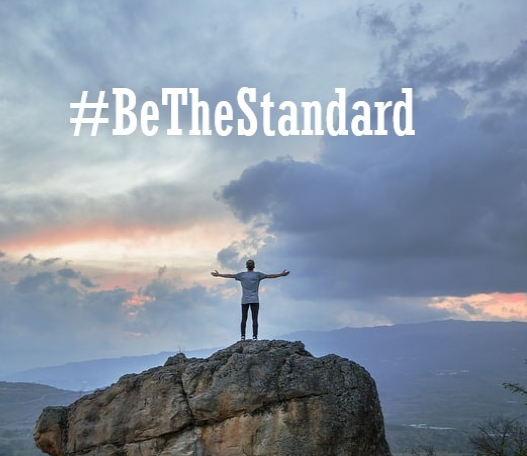 Be The Standard - Eley Consultancy Ltd